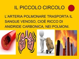 L'apparato circolatorio - didattica differenziata | PPT | Heart and ...