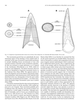 A comparison od teeth in Tithonian, late Jurassic | PDF