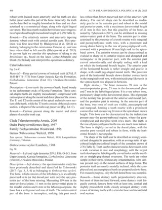 A comparison od teeth in Tithonian, late Jurassic | PDF