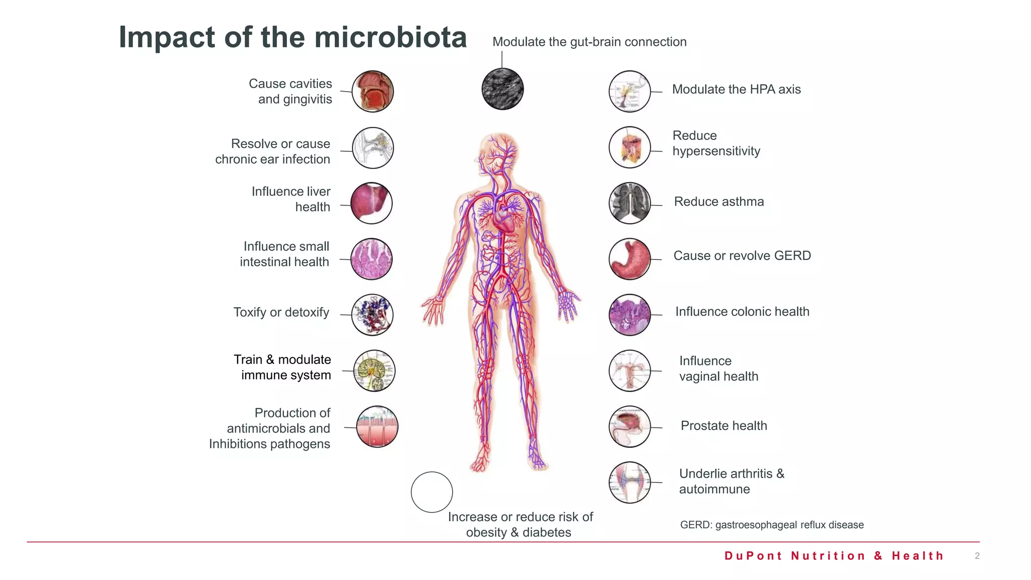 Harnessing the microbiome for better health outcomes | PPT