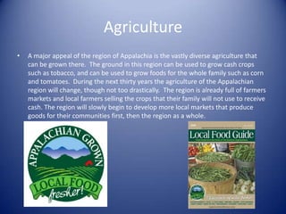 Appalachian Project Powerpoint | PPTX