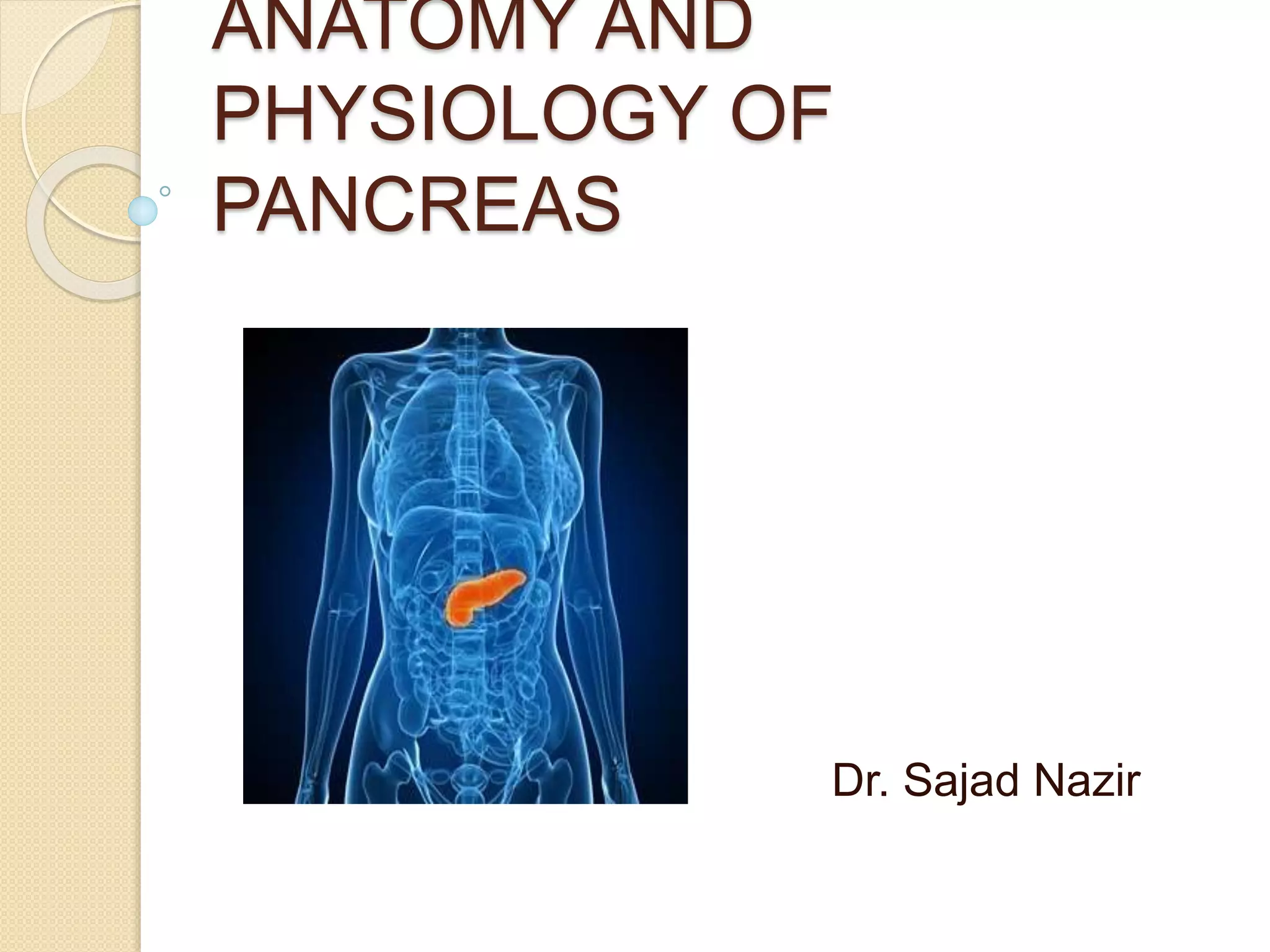 Anatomy and physiology of pancreas | PPTX