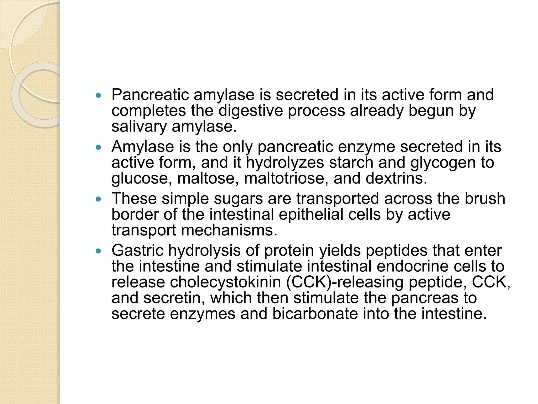 Anatomy and physiology of pancreas | PPTX