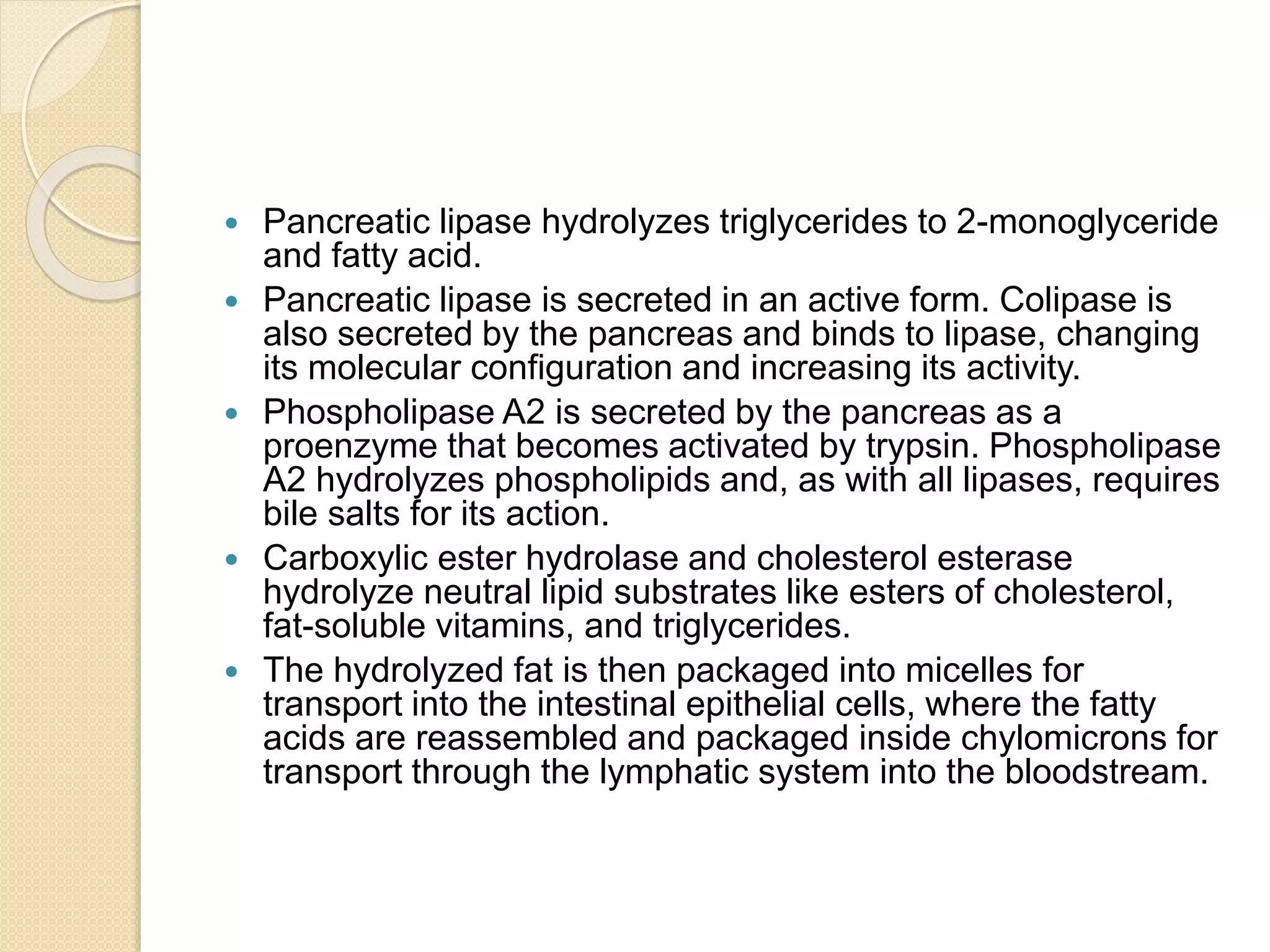 Anatomy and physiology of pancreas | PPTX