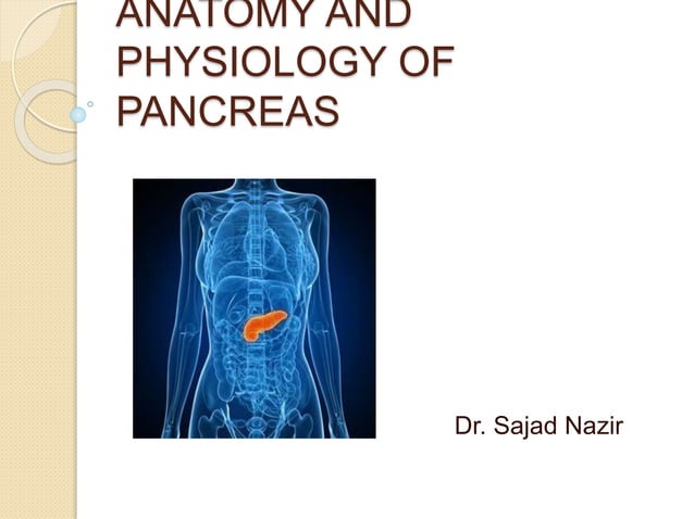 Anatomy and physiology of pancreas | PPTX