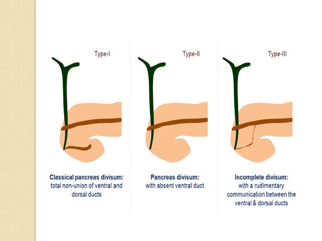 Anatomy and physiology of pancreas | PPTX