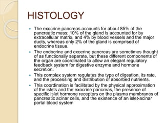 Anatomy and physiology of pancreas | PPTX