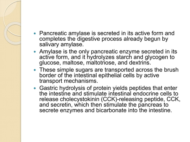 Anatomy and physiology of pancreas | PPTX