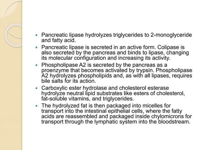 Anatomy and physiology of pancreas | PPTX