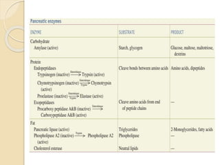 Anatomy and physiology of pancreas | PPTX