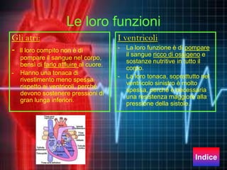 Apparato cardio circolatorio | PPT