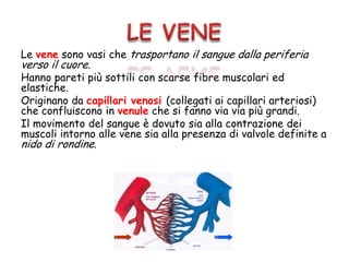 Apparato circolatorio | PPTX