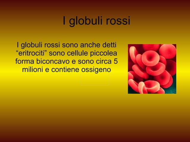 Apparato circolatorio simone | PPT