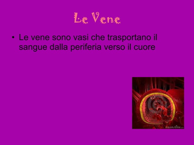 Apparato circolatorio simone | PPT