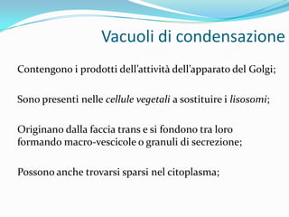 Apparato del golgi | PPTX | Biological Sciences | Science