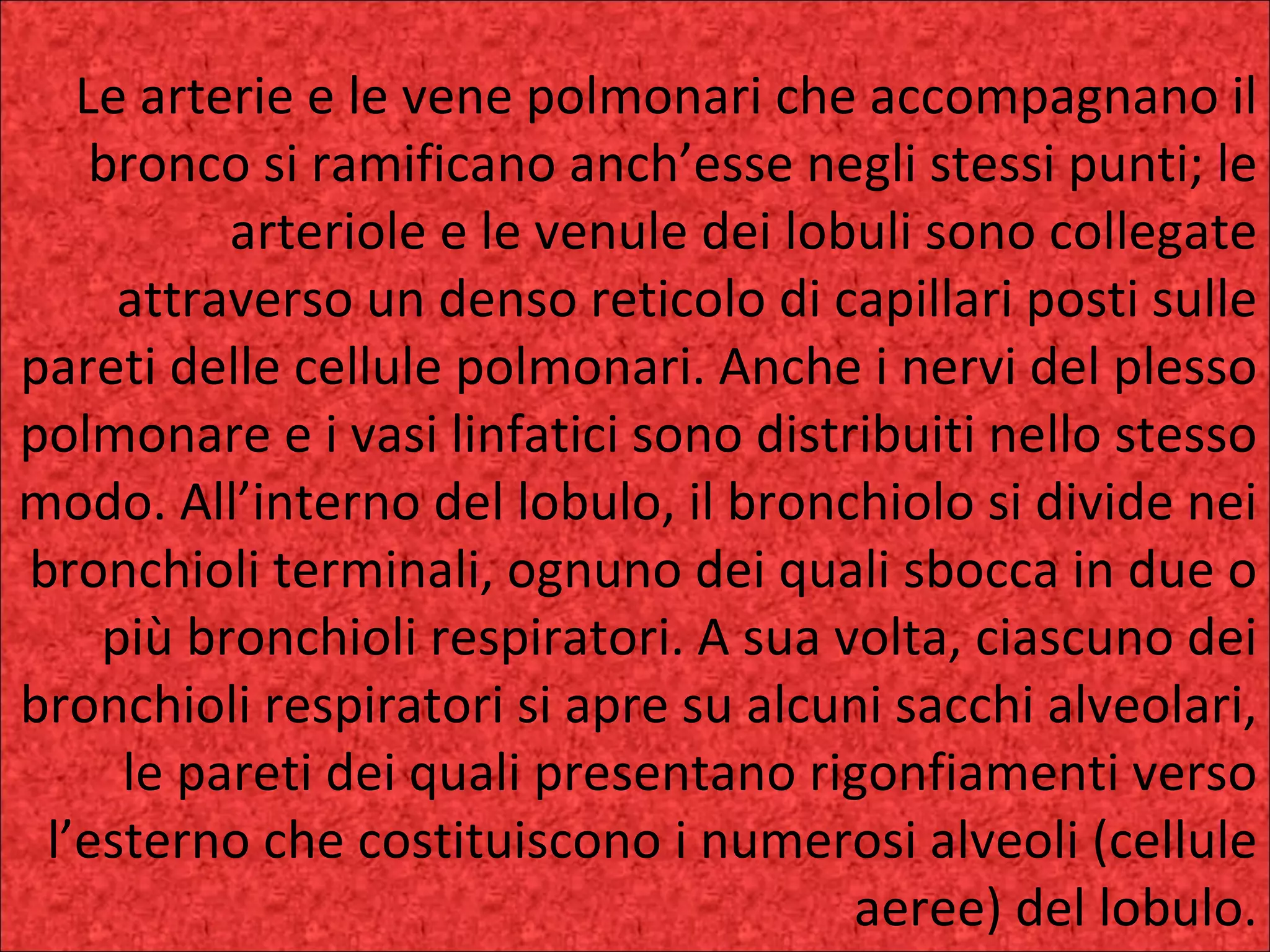 Apparato respiratorio | PPT