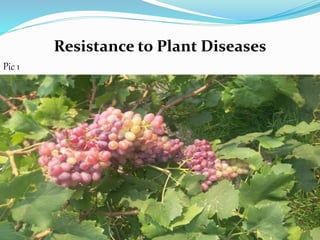 Apparent vs True resistance | PPTX