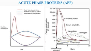 Acute phase proteins | PPTX