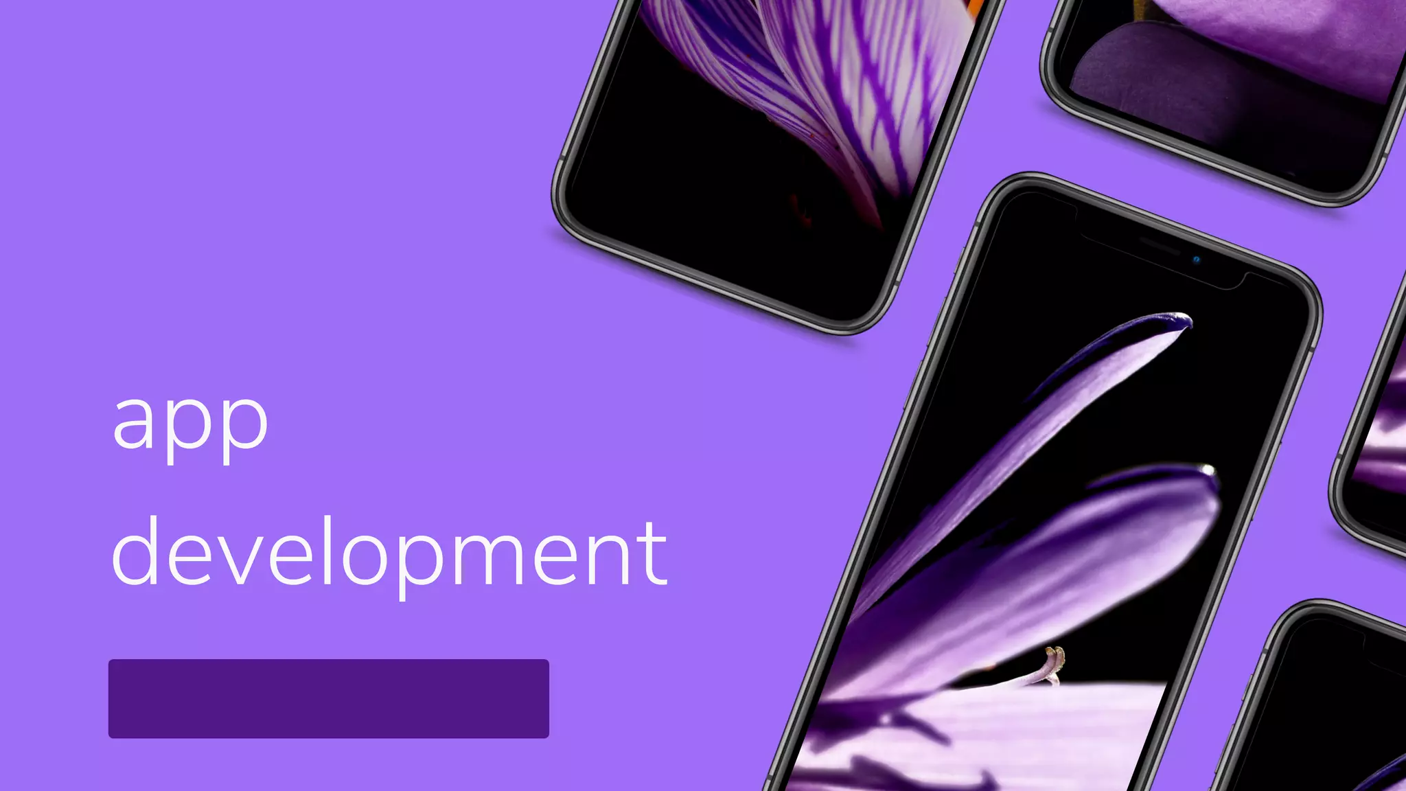 App development | PPT