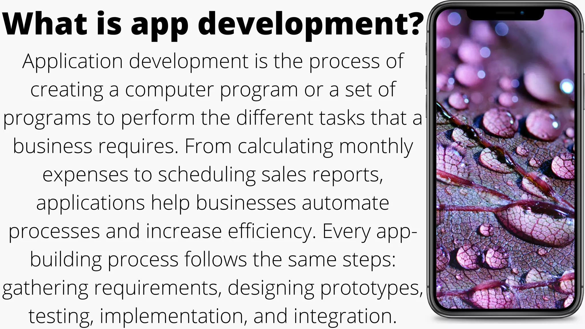 App development | PPT