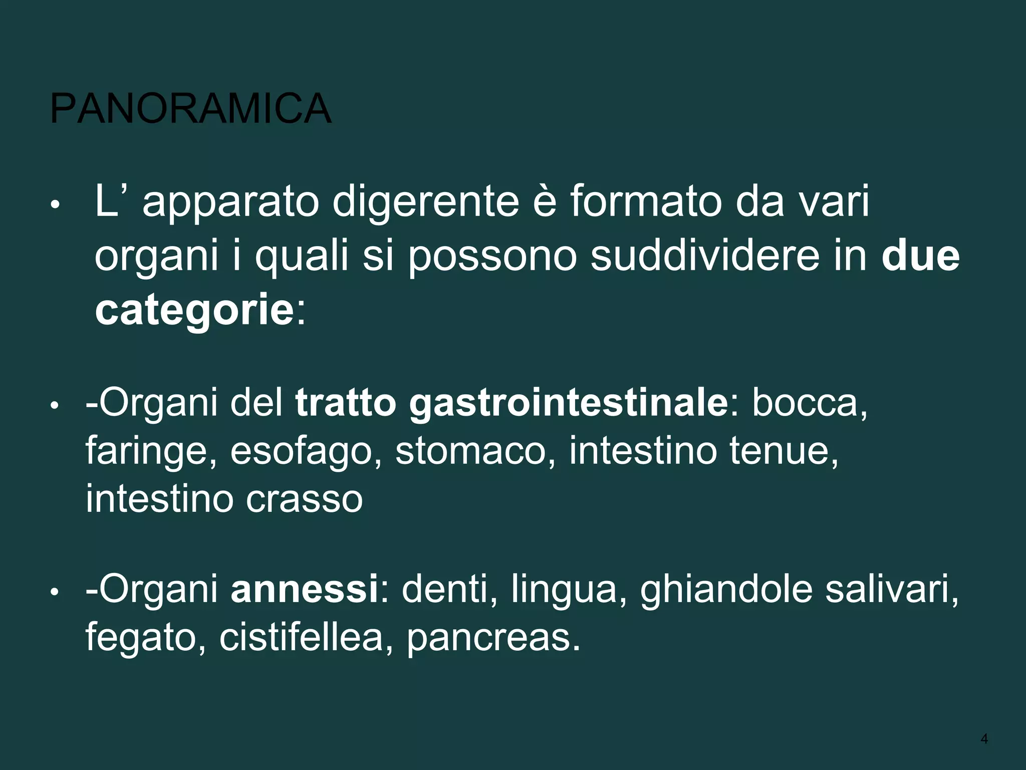 Apparato digerente | PPTX