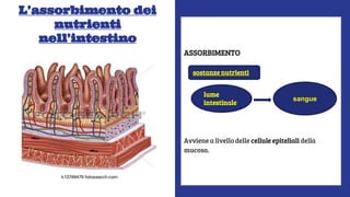 App digerente | PPTX