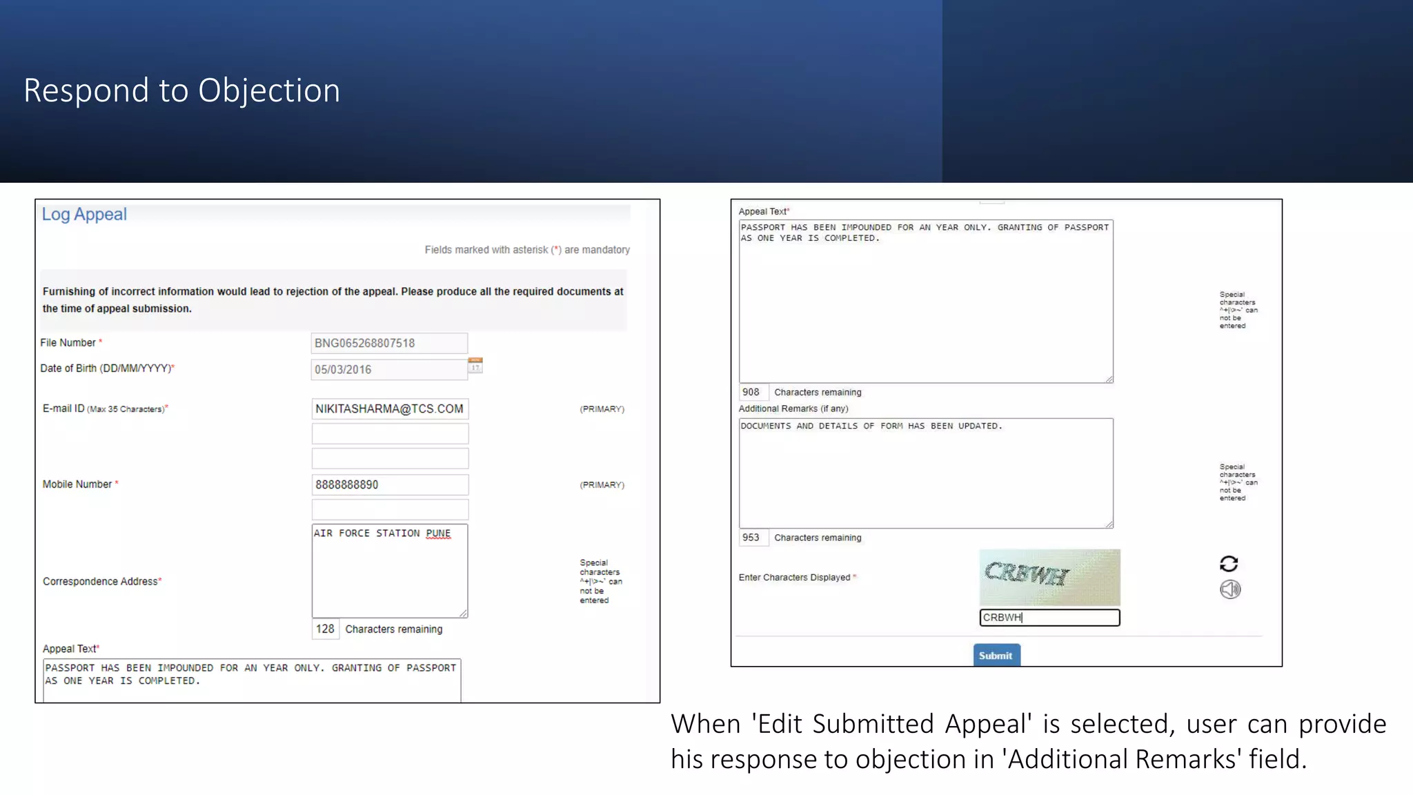 Appeal online user_guide_v1.0 | PPTX