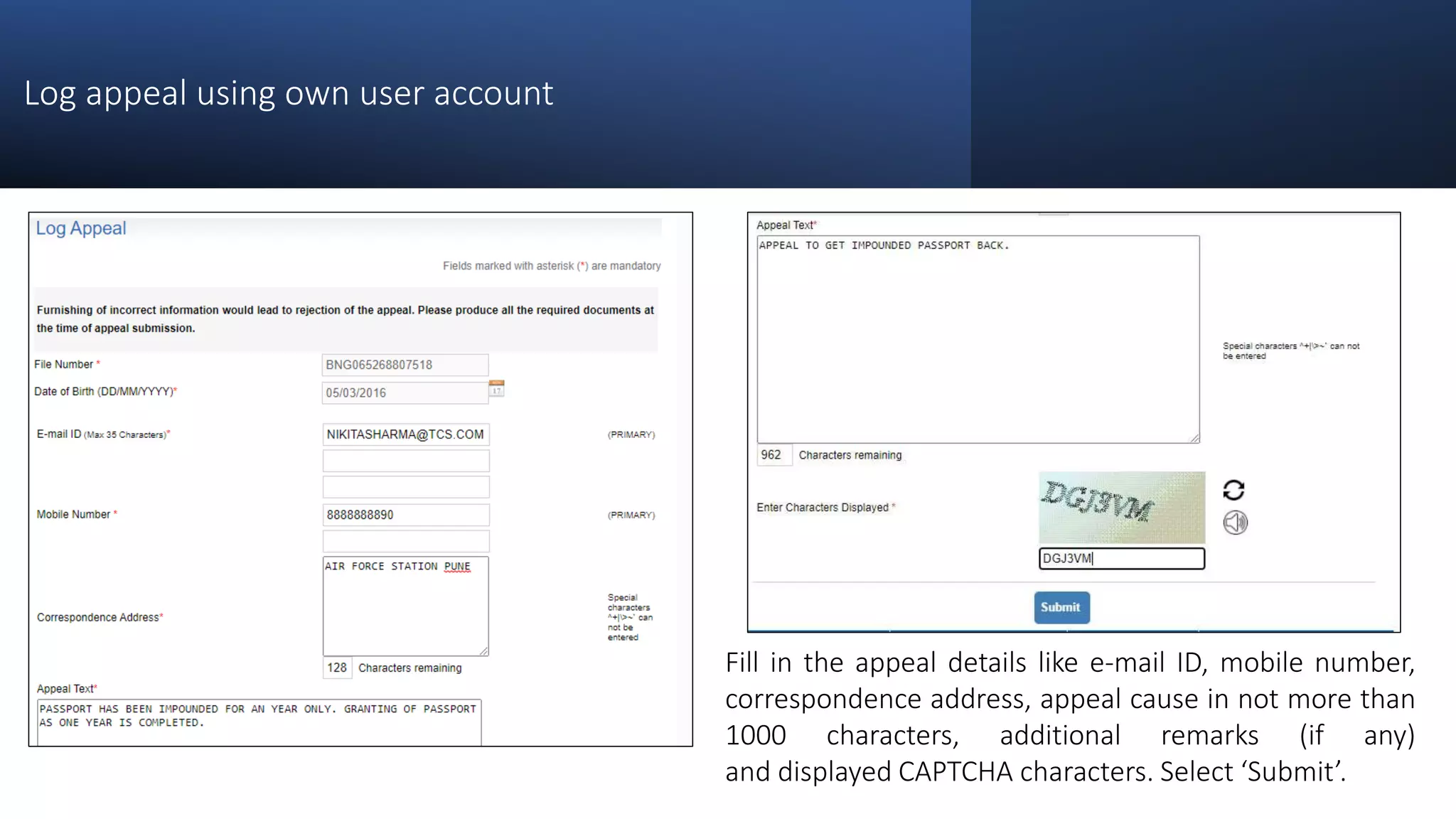 Appeal online user_guide_v1.0 | PPTX