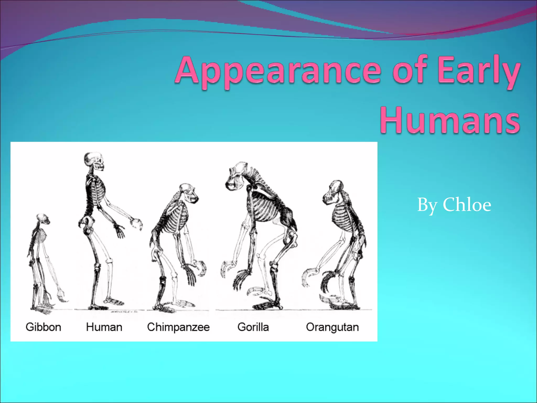 Chloe_Appearance of early humans | PPT