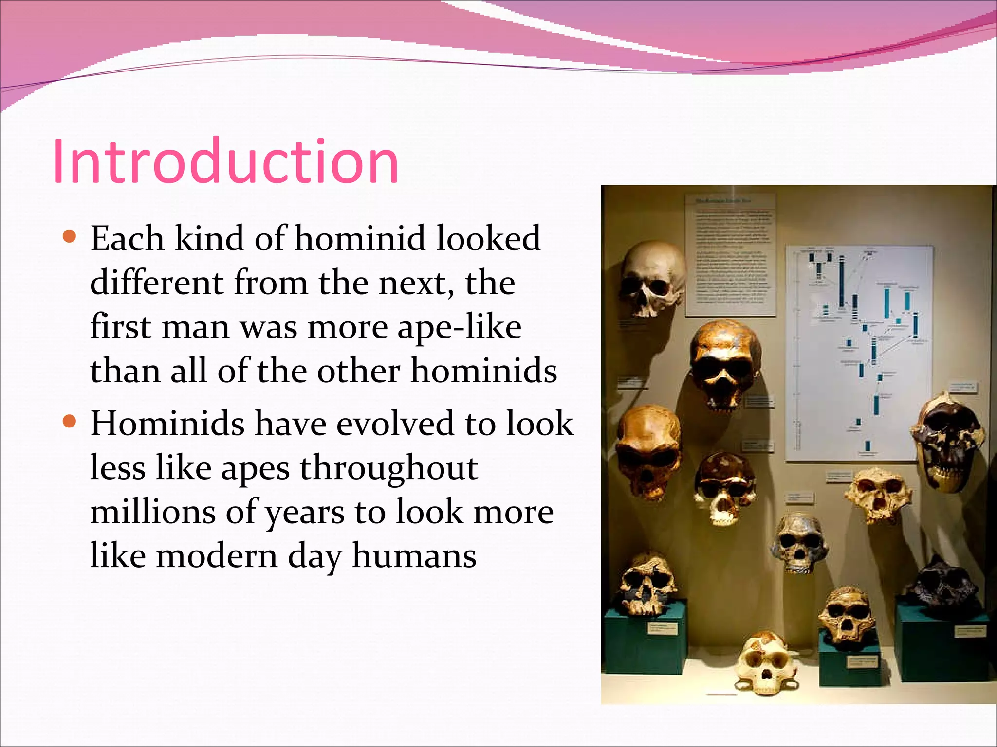 Chloe_Appearance of early humans | PPT