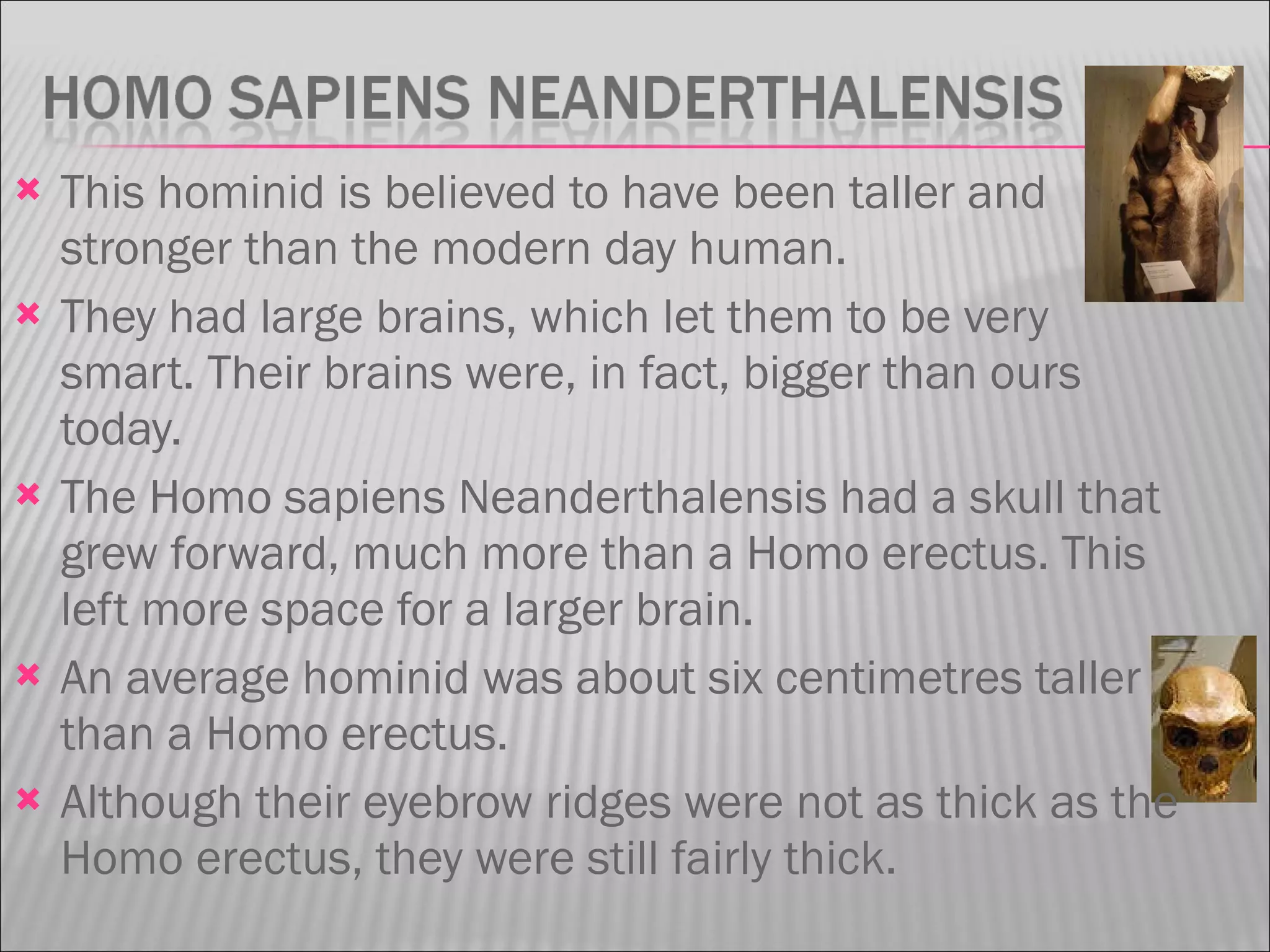 Appearance of early humans | PPT