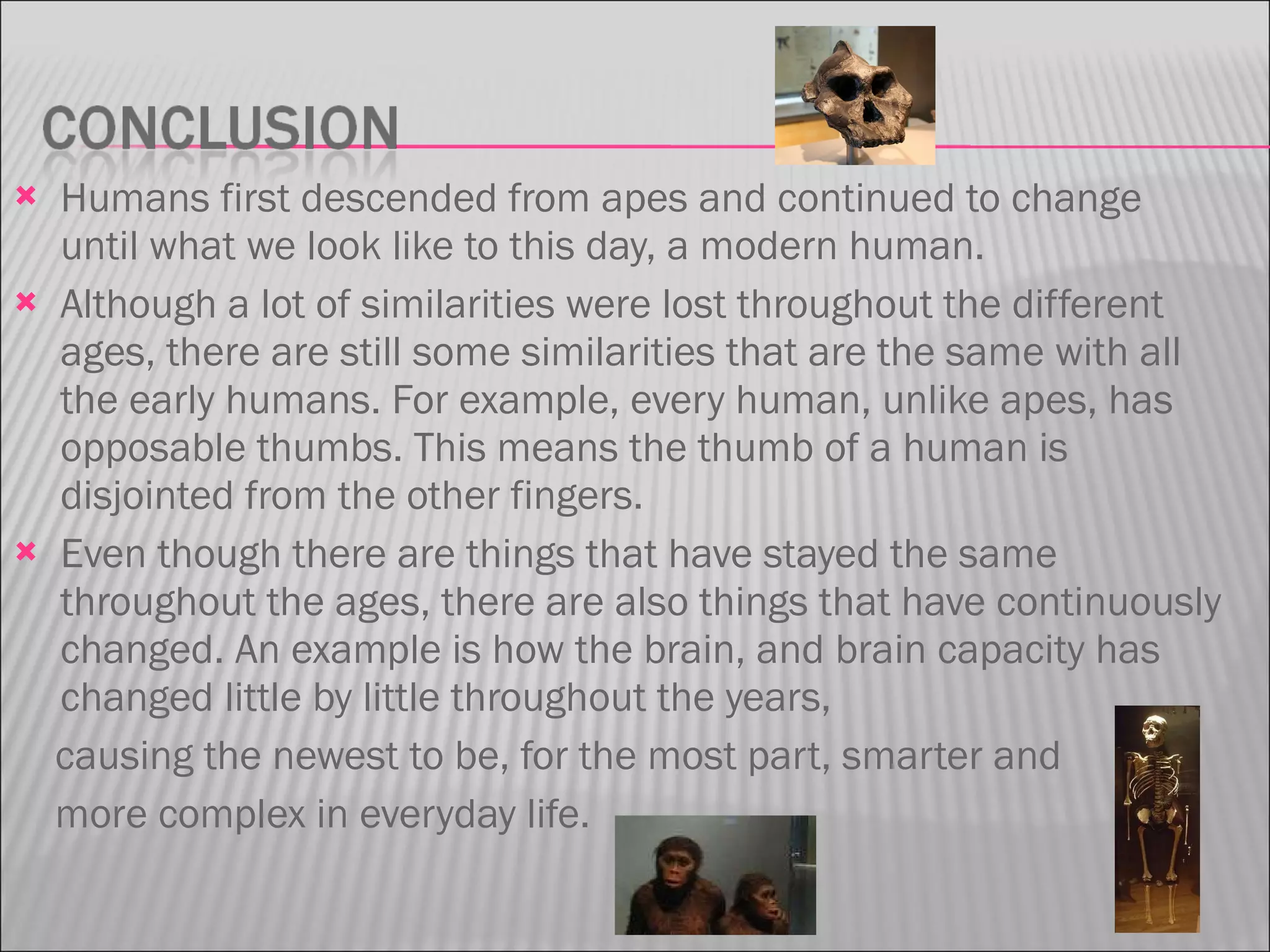 Appearance of early humans | PPT