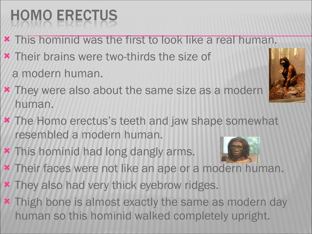 Appearance of early humans | PPT