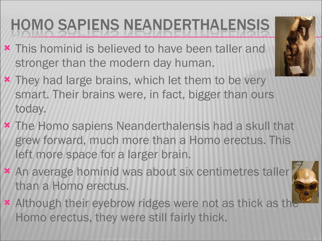 Appearance of early humans | PPT