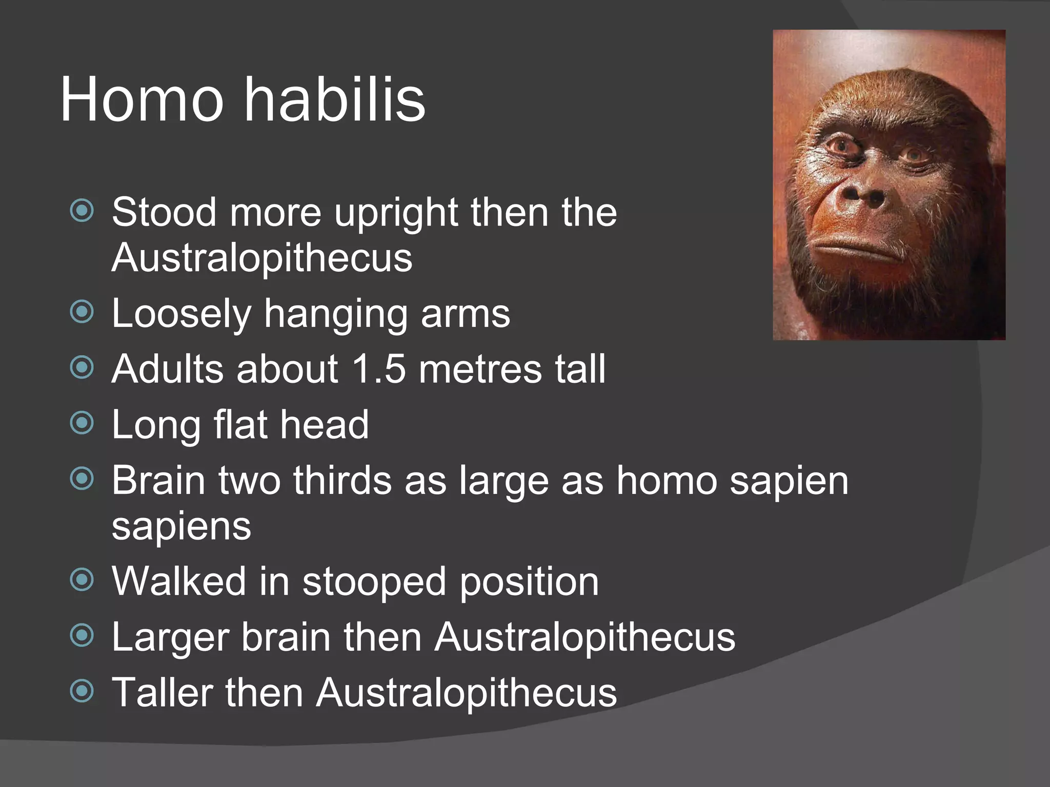 Appearance of early humans | PPT