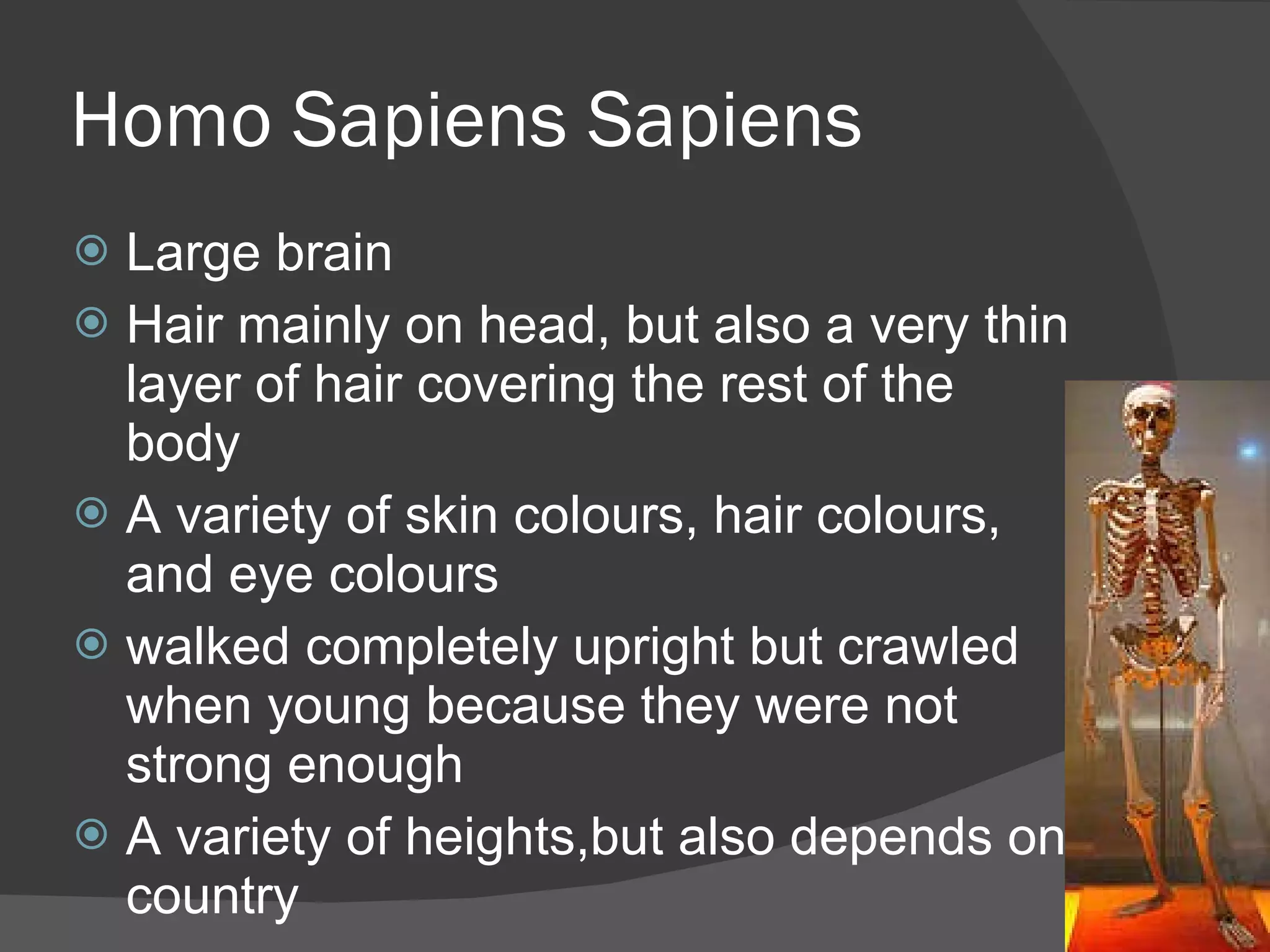 Appearance of early humans | PPT