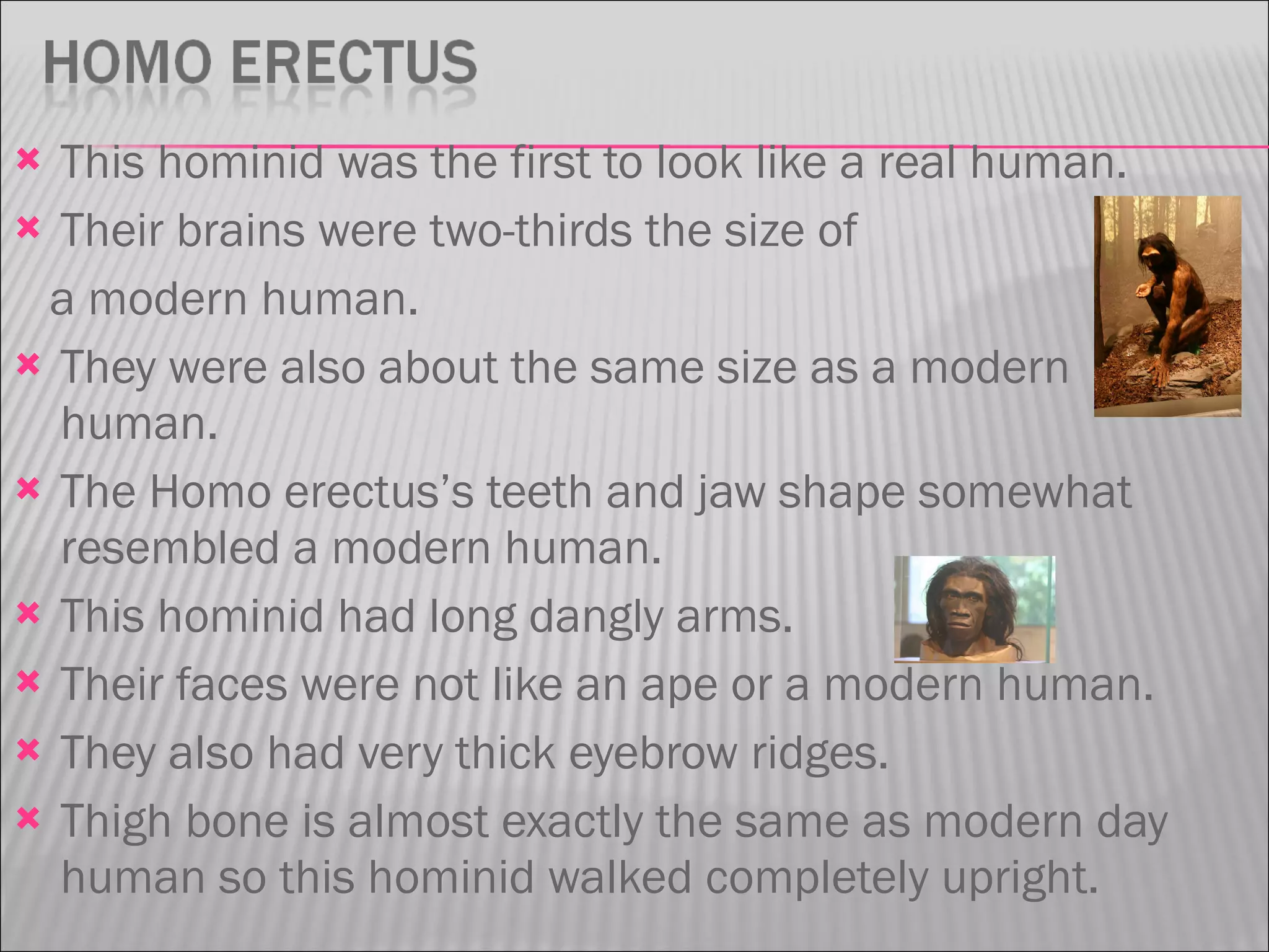 Appearance of early humans | PPT