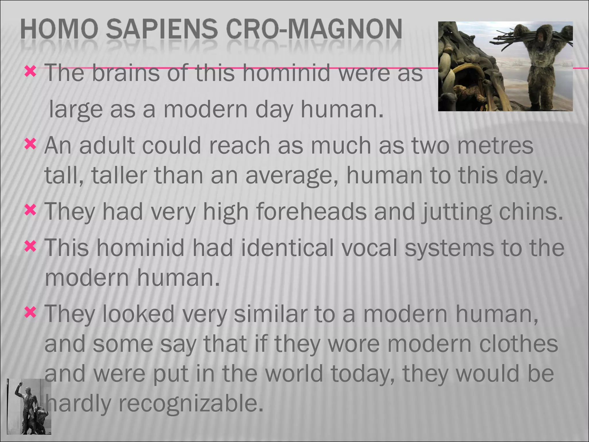 Appearance of early humans | PPT