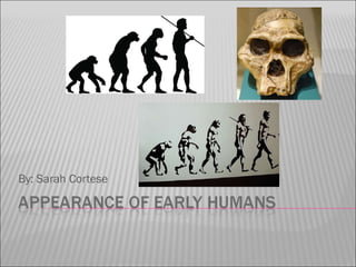 Appearance of early humans | PPT