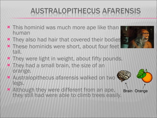 Appearance of early humans | PPT