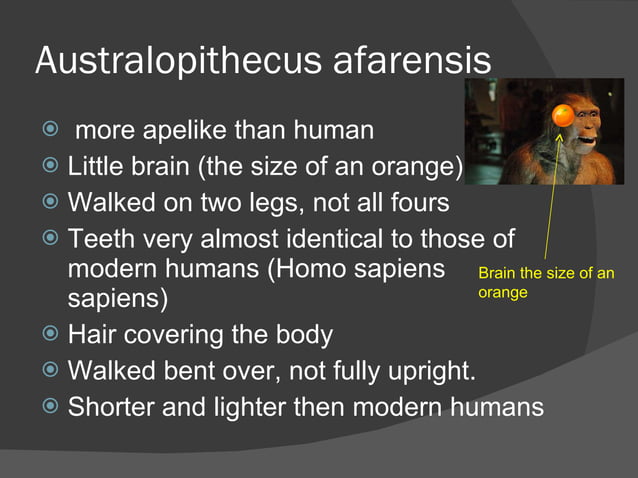 Appearance of early humans | PPT
