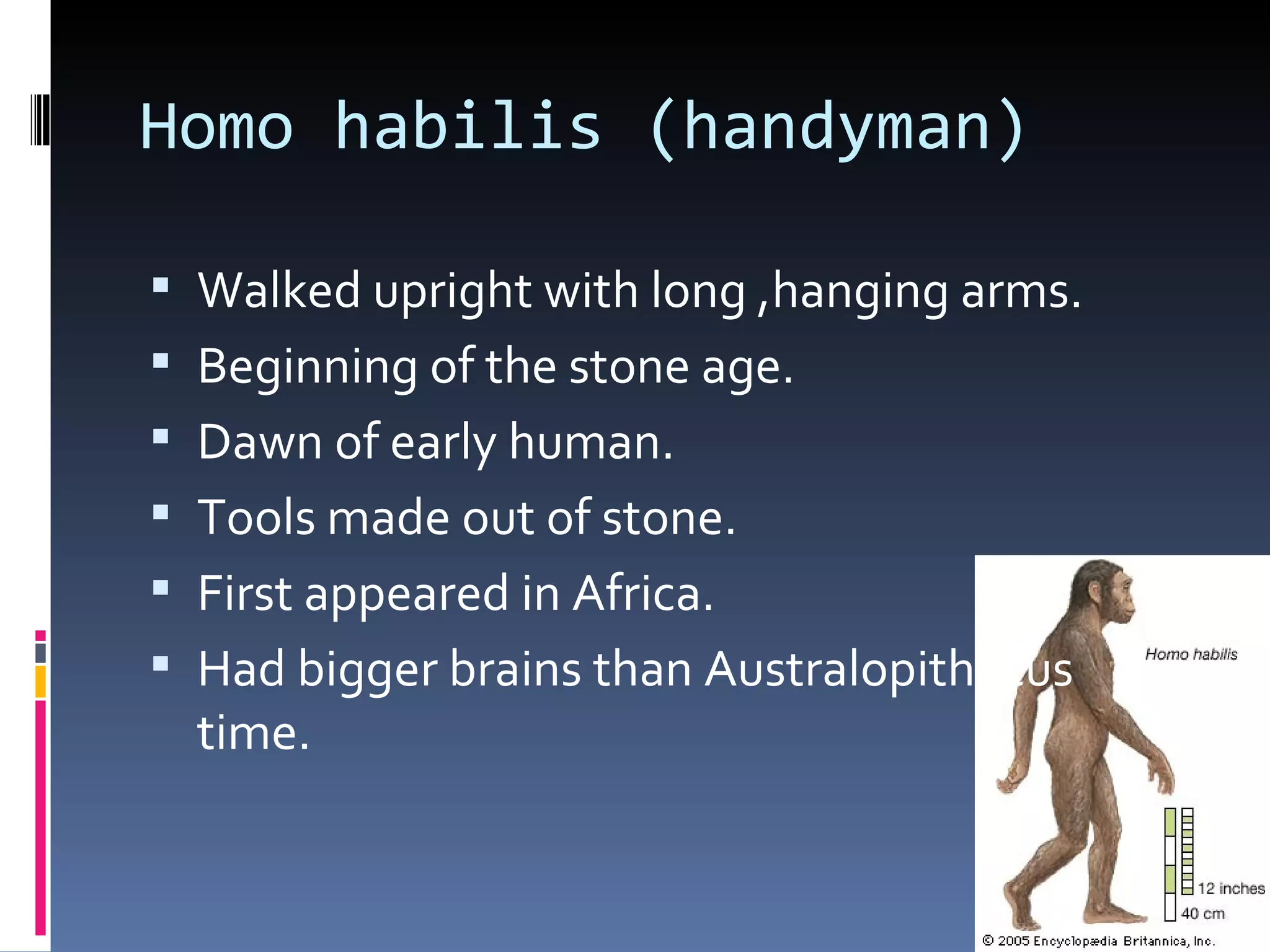 Appearance of early humans | PPT