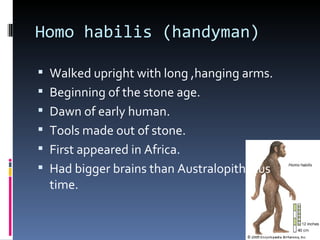 Appearance of early humans | PPT