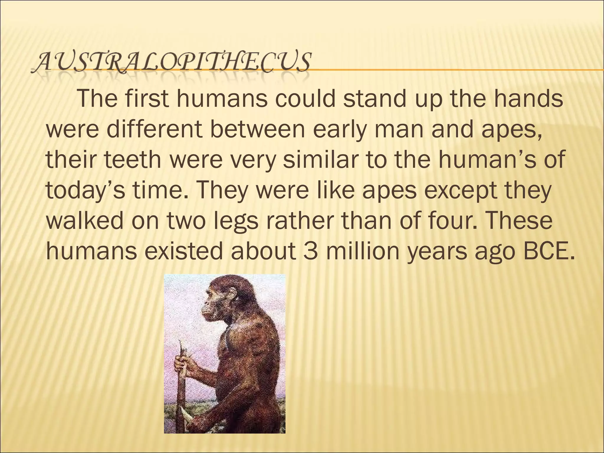 Appearance of early humans | PPT