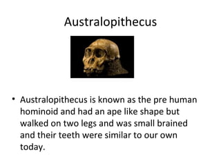 Appearance of hominids | PPT