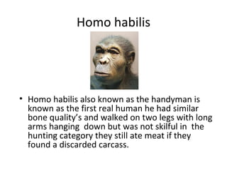 Appearance of hominids | PPT