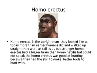 Appearance of hominids | PPT