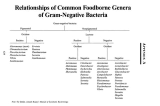 A- @ Modern Food Microbiology 123456789.pdf