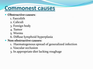 Appendicectomy | PPTX
