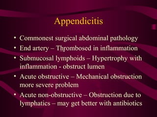 Acute Appendicites | PPT